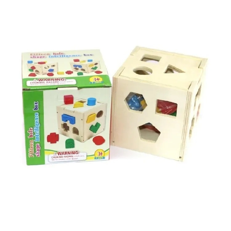 Fifteen Hole Shape Intelligence Box - Kidsmandu